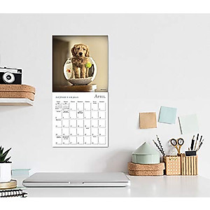 2021 Dogma: A Dogs Guide to Life Mini Calendar