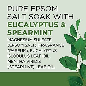 Dr Teal's Pure Epsom Salt, Relax & Relief With Eucalyptus And Spearmint, 3 lb (Pack of 4) (Packaging May Vary)