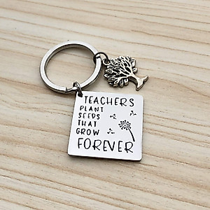 XGAKWD Teacher Appreciation Gift Keychain, Graduation Gifts for Teachers, Teachers Plant Seeds That Grow Forever Teacher Gifts Key Chain for Women Men (Tree of Life)