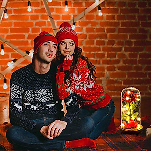 "Beauty and the Beast" Rose Kit, Red Silk Rose and Led Light with Fallen Petals in Glass Dome on Wooden Base for Home Decor Holiday Party Wedding Anniversary