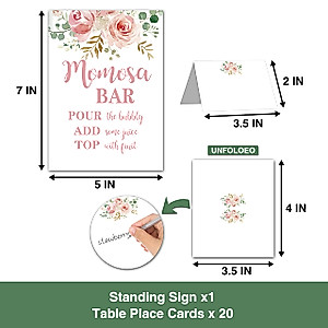 Momosa Bar Supplies Kit - Floral Momosa Bar Sign - Blush Pink Table Place Cards - Bridal Shower, Graduation Party, Bubbly Bar, Mimosa Bar, Birthday Brunch, Engagement Party Decor(01)