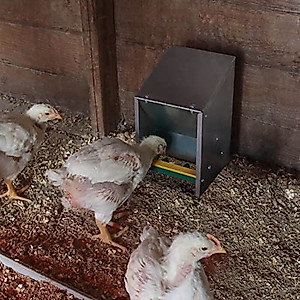 Rural365 Automatic Chicken Feeder System - 5.5 lb. Capacity Galvanized Feeder Metal Trough for Poultry and Rabbits