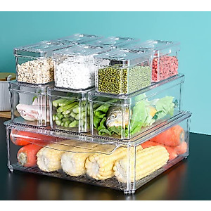 Set of 10 Refrigerator Organization Bins with Lids, Clear Fruit and Vegetable Storage Containers Fridge Organizer, Acrylic Stackable Kitchen Fridge Organizers and Storage Cabinets
