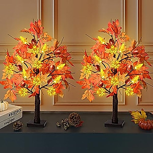 SURCVIO 2 Pack 24 Inch Prelit Fall Maple Tree Fall Decor with 48 LEDs Timer Battery Operated Pinecones Acorns Artificial Autumn Maple Tree for Thanksgiving Harvest Indoor Outdoor Home Decorations