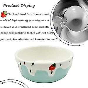 Hamster Food Bowl,Small Animals Ceramic Food Water Bowl Prevent Tipping Moving for Guinea Pig Rabbit Gerbil Chinchilla Hedgehog Rat (2 Pack) (- Color: Purple + Blue)