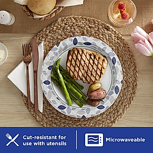 Dixie Ultra Paper Plates, 10 1/16 inch, Dinner Size Printed Disposable Plate, 172 Count (4 Packs of 43 Plates), Packaging and Design May Vary