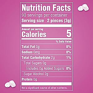 ORBIT Gum Bubblemint Sugar Free Chewing Gum Bulk Pack, 180 ct Bag