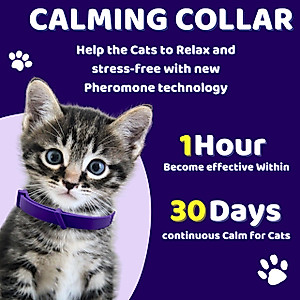 Pettify Calming Collar for Cats 4 Packs | 15 Inches Comfortable Cat Calming Collar | Long Lasting Cat pheromone Collar for Stress and Anxiety Relief, Strong Adjustable Breakaway Design