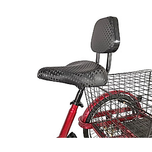 NLBFOU 22" Electric Trike,Electric Tricycle for Adult,350W Motor, 48V 13AH UL Certified Removable Lithium Battery ebike,3 Wheels Electric Bicycle with Large Basket for Men Women Senior