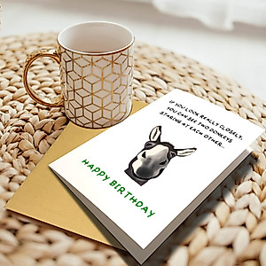Chenive Funny Donkey Birthday for Him Her, Quirky Birthday Card for Friend Brother Sister, Humorous Birthday Greeting Card for Men Women, Two Donkeys Staring at Each Other