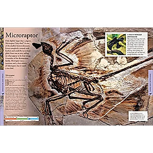Dinosaurs: A Visual Encyclopedia, 2nd Edition (DK Children's Visual Encyclopedias)