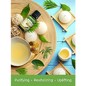 Nature's Truth Aromatherapy 100% Pure Essential Oil, Tea Tree, 0.5 Fl Oz