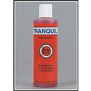 Tranquil Fish Calmer 8oz
