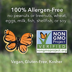 Ann Clark Lemon Yellow Food Coloring Gel .70 oz. Professional Grade Made in USA