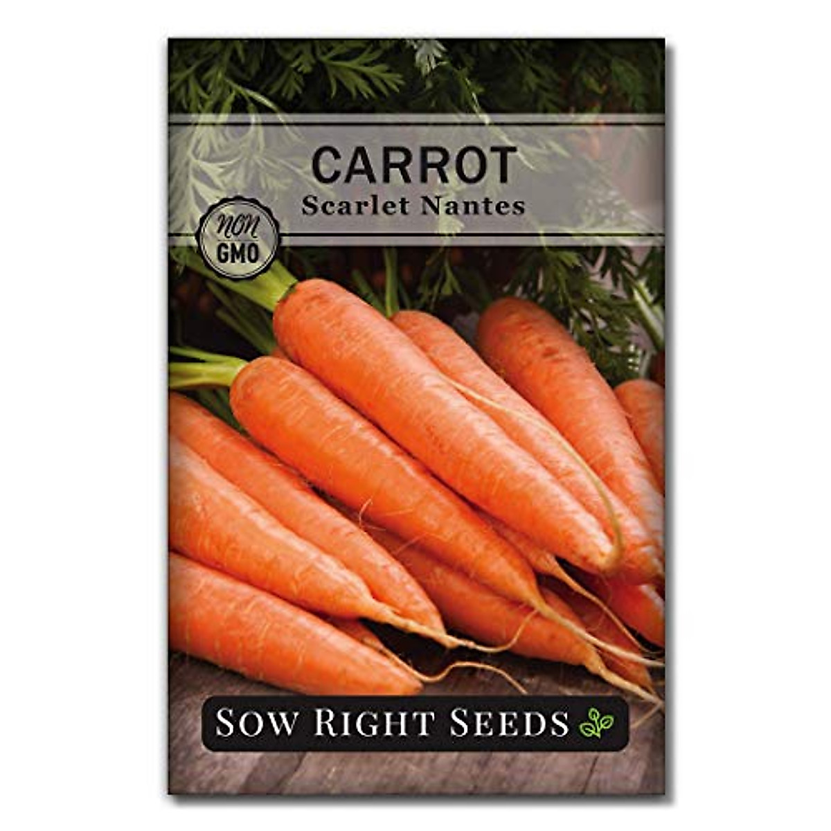 Sow Right Seeds - Scarlet Nantes Carrot Seed for Planting - Non-GMO Heirloom Packet with Instructions to Plant a Home Vegetable Garden, Indoors or Outdoor; Great Gardening Gift (1)