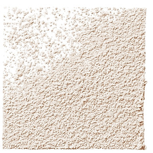 Maybelline New York Fit Me Loose Finishing Powder, Fair, 0.7 Ounce