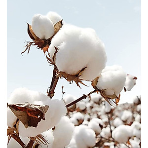 Universal Baby Stroller Seat Liners Baby Pushchair Cushion Pram Liner Stroller Cushion Seat Pad Liner Soft Thicken Stroller Soft Cotton Insert with Mattress Stroller Seat Liner Head Neck Body Support