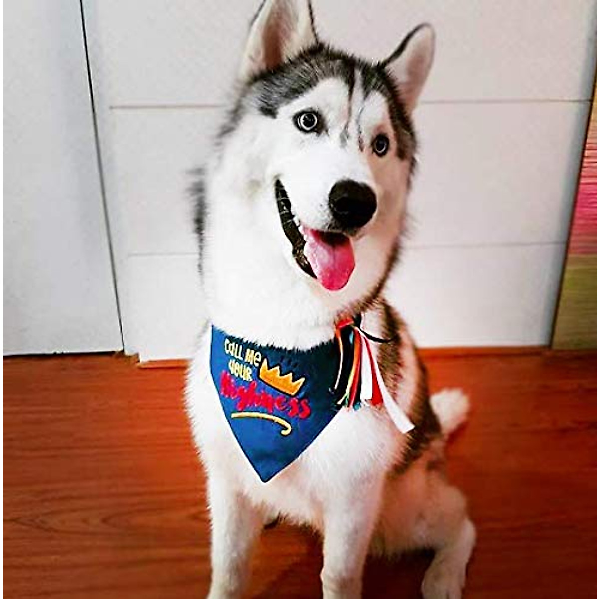 That Dog In Tuxedo Call me Your Highness Dog Bandana/Dog Scarf with Adjustable Dog Collar (Size XL)