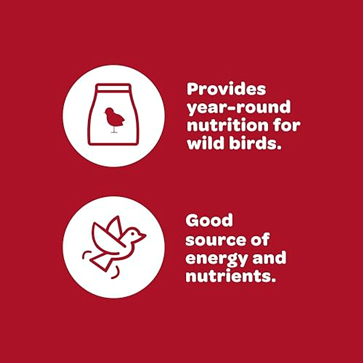 Kaytee Wild Bird Seed & Mealworm Seed Cake Food For Bluebirds, Chickadees, Woodpeckers and More, 1.4 Pound