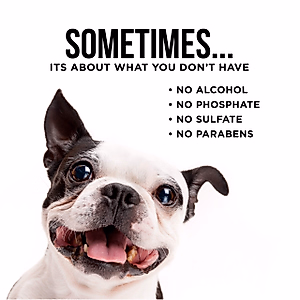 Natural Rapport Dog & Pet Tear Stain Remover - The Only Eye Tear Stain Remover Dogs Need - Dog and Cat Tears Stain Removing Treatment (8 fl oz.)