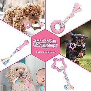 Petcare 6 Pack Puppy Toys for Teething Small Dogs Cute Pink Pet Dog Chew Toys for Puppies Soft Rubber Funny Bone Ball Donut Indoor Outdoor Anxiety Relief Cleaning Teeth Interactive Doggy Toy Set