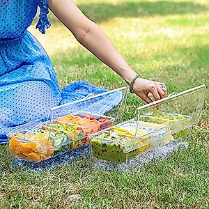 MJM Condiment Server, Condiment Tray, ice Party Serving bar, Chilled Caddy, bar Garnish Holder on ice, Condiment Dispenser, Salad Platter, Compartment Condiment Tray with lid
