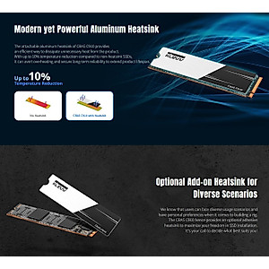 KLEVV CRAS C910 1TB M.2 2280 SLC Cache NVMe PCIe Gen4x4 Laptop & Desktop Internal SSD Heatsink Included, up to 5000MB/s (K01TBM2SP0-C91)