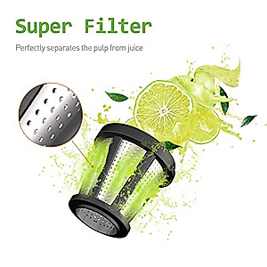 WHALL Slow Juicer, Masticating Juicer, Celery Juicer Machines, Cold Press Juicer Machines Vegetable and Fruit, Juicers with Quiet Motor & Reverse Function, Easy to Clean with Brush,Grey