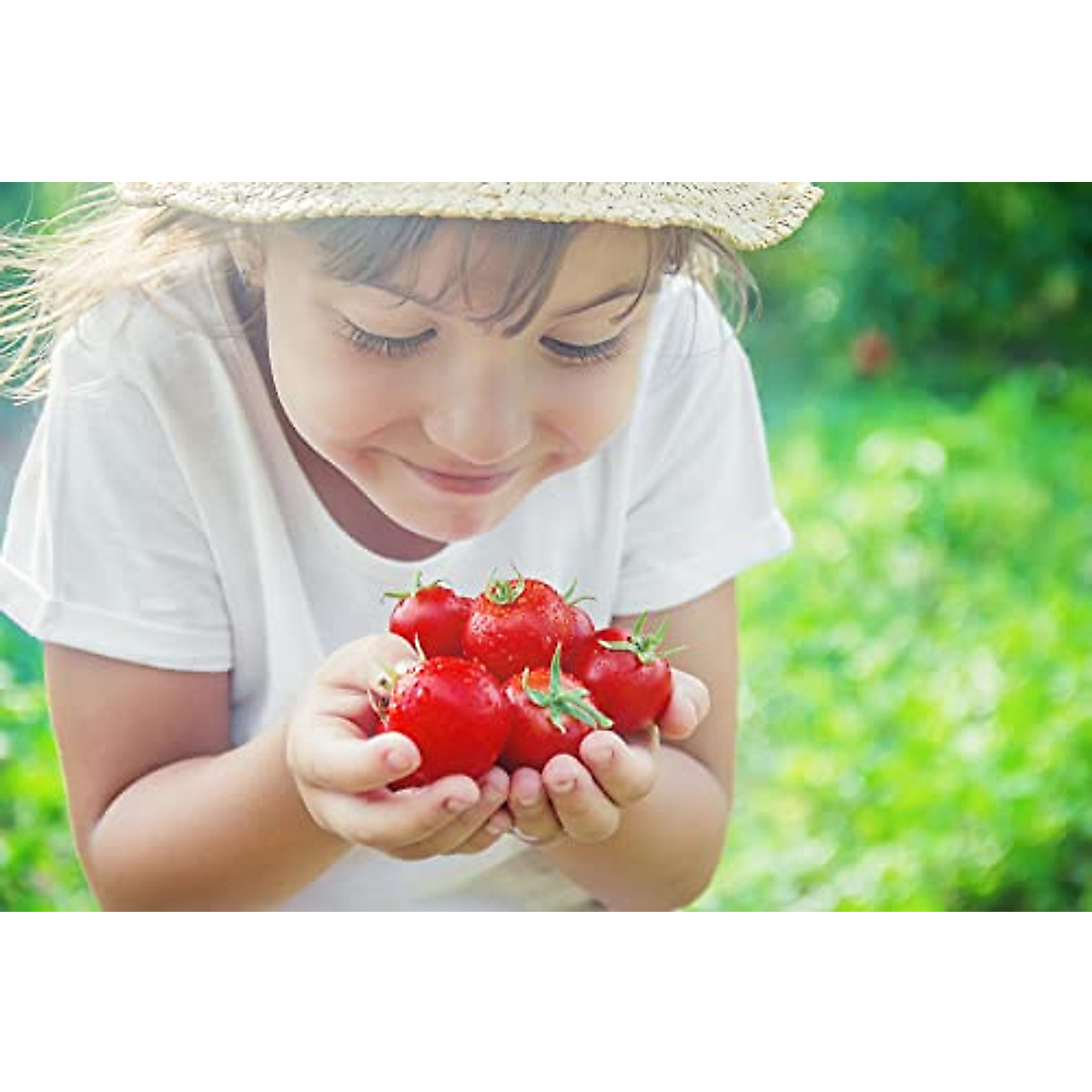 "Sweetie" Cherry Tomato Seeds for Planting, 200+ Heirloom Seeds Per Packet, (Isla's Garden Seeds), Non GMO Seeds, Sweet Flavor, Botanical Name: Solanum lycopersicum, Great Home Garden Gift
