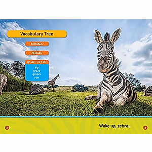 A Zebra's Day (National Geographic Kids Readers, Pre-Reader)