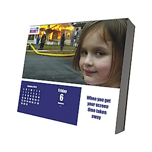 2023 What Do You Meme? Day-at-a-Time Box Calendar