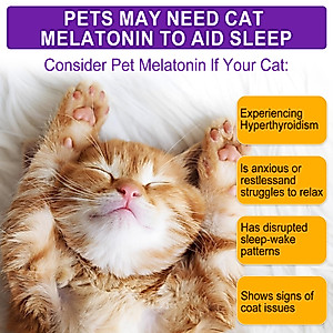 Bivinke Cat Melatonin, Melatonin for Cats, Cat Calming, Cat Anxiety Relief, Anxiety Relief for Cats, Cat Sleep Aid,Helps to Support Restful Sleep for Your Cat - Veterinarian (1 pcs)