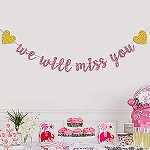 URYYRIT Rose Gold Glitter We Will Miss You Banner Retirement Party Decorations Sign Going Away Party Decor Farewell Party Decorations, Rosered