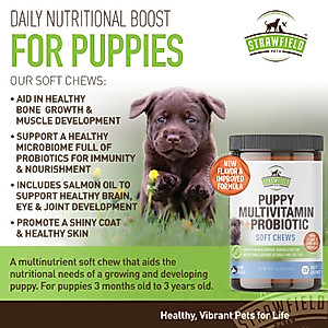 Strawfield Pets' Puppy Multivitamin + Probiotics for Dogs Puppy Vitamins with Joint Support Supplement for Dogs & Puppies Tasty Bacon Flavor 120 Soft Chews
