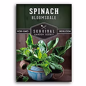 Survival Garden Seeds - Bloomsdale Spinach Seed for Planting - Packet with Instructions to Plant and Grow Delicious Spinach Greens in Your Home Vegetable Garden - Non-GMO Heirloom Variety