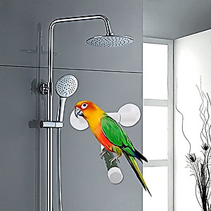 Parrot Bath Perch,Bird Perches Parrot Budgie Foldable Suction Cup Window Shower Bath Wall Paw Grinding Stand Toy