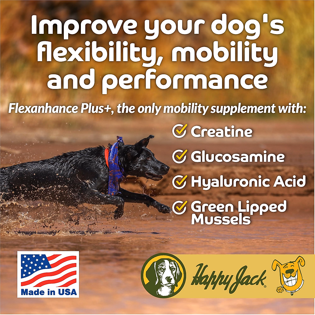 Happy Jack Flexenhance Dog Hip and Joint Supplement with Skin & Coat Support Plus (80 Chewable Tabs), Improve Flexibility & Mobility, Glucosamine, Green Lipped Mussel, Fish Oil