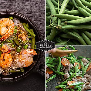 Survival Garden Seeds - Kentucky Wonder Pole Bean Seed for Planting - Packet with Instructions to Plant and Grow Delicious Snap Beans in Your Home Vegetable Garden - Non-GMO Heirloom Variety