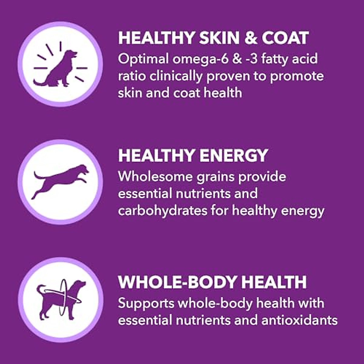 Iams Advanced Health Skin & Coat Adult Dry Dog Food Chicken and Salmon Recipe, 6 lb. Bag