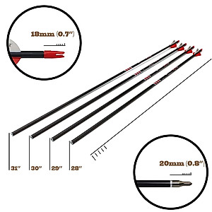 Hunting Archery Carbon Arrow 400 Spine with 2.5″ Vanes Removable Tips for Compound Bow &Recurve Bow (30 Inch)