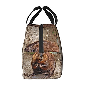 Larklitz Cute Funny Beaver Reusable Insulated Lunch Bag, 8.5in x 8in x 5in, Polyester, For Women Men