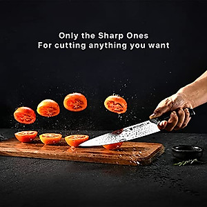 BRODARK Kitchen Knife Set with Block, Upgraded NSF (Food Safe) 15 PCS German Stainless Steel Professional Chef Knife Set with Knife Sharpener, Ultra Sharp Full Tang Knife Block Set, Best Gift