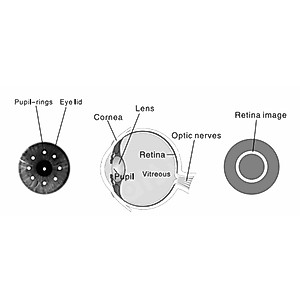 Aist Optics Auto Refractor Refractometer with Keratometer Optical Optometry Machine FA-6500K, White