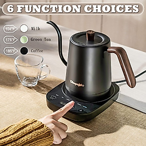Electric Gooseneck Kettle - Pour-Over Coffee and Tea Kettle with LCD Display Automatic Shut Off - 100% Stainless Steel Kettle Water Boiler - Quick Heating Electric Kettles 0.8L - Matte Black