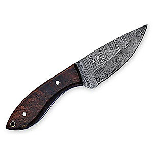 MMA 8inch Custom Handmade Damascus blade knife/Fixed blade knife with sheath/Fixed Blade Knives/Skinning Knives/Hunting Knives/EDC Knives (Brown)