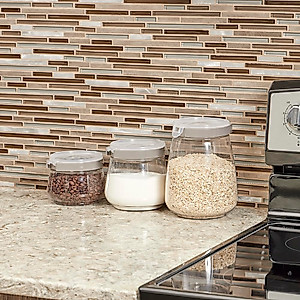 37 oz. Plastic Food Storage Container by Home Basics | Secure Flip-Top Closure with Silicone Seal | Use to Store Rice, Flour, Sugar, Trail Mix and Other Dry Goods