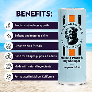 Frankie on the Beach - Soothing Probiotic Dry Shampoo