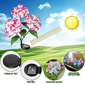 Solar Flower Lights-2 Pack Waterproof Solar Garden Flower Lights with Solar Hydrangea Stake, Solar Decorative Lights for Patio, Courtyard, Garden Lawn (Blue & Rose Red)