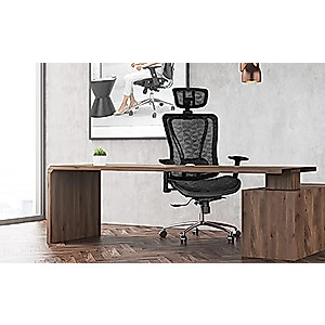 Cedric Office Chair,Breathable Mesh Computer Chair with Ergonomic Adjustable Lumbar Support, Black Swivel Desk Chair with Adjustable Armrest and Headrest, Mesh Seat,BIFMA Certification No 5.1