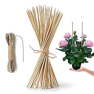 HOPELF 50 Pack 16" Bamboo Plant Stakes for Wood Garden Sticks，Wooden Indoor Gardening Floral Potted Plant Support，Crafts, More Size Choices 8"/12"/16"